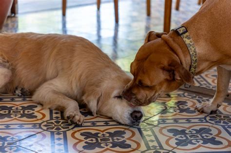 When Dicky Started With Us All He Told Us Was That He Could Build