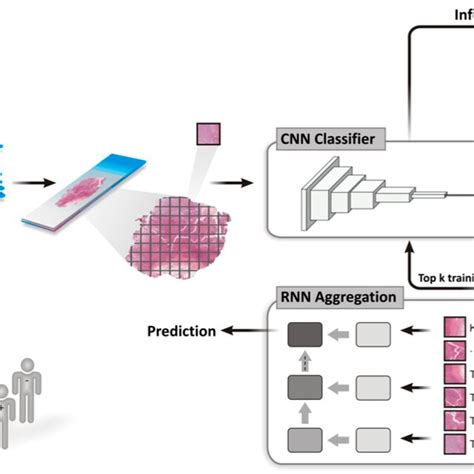 overview of the end to end framework of training and testing for dna