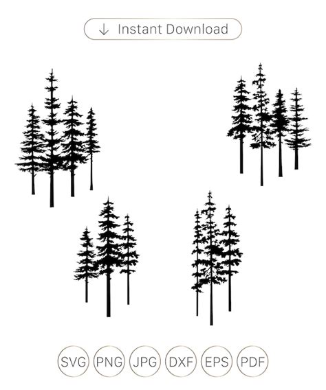 Simple Evergreen Tree Outline