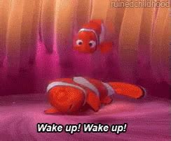 Wakey Wakey S Tenor