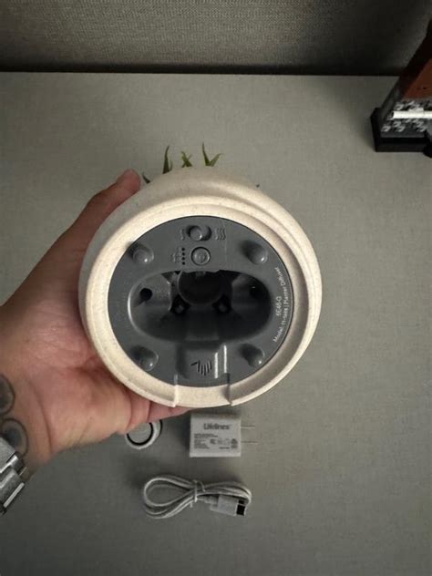 Lifelines Grass Plant Diffuser Macys Lifelines Grass Plant Diffuser Macys