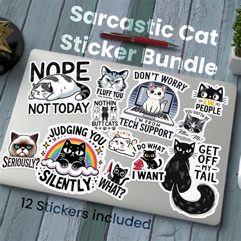 Sarcastic Stickers Pack Snarky Cat Decals Black Cat Sticker Sheet