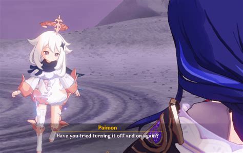 It Support Paimon Rgenshinimpact