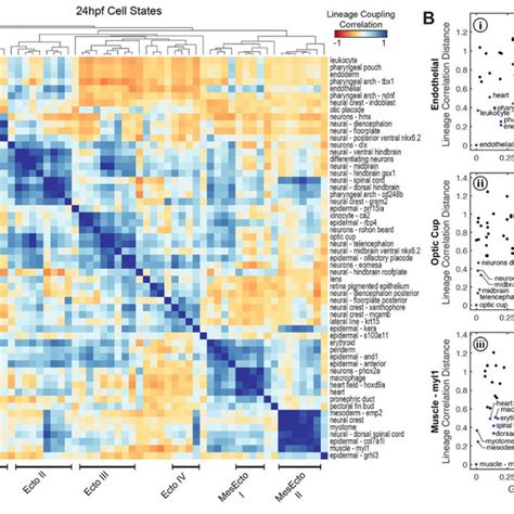 Tracerseq Reveals Systematic Relationships Between Cell Lineage And