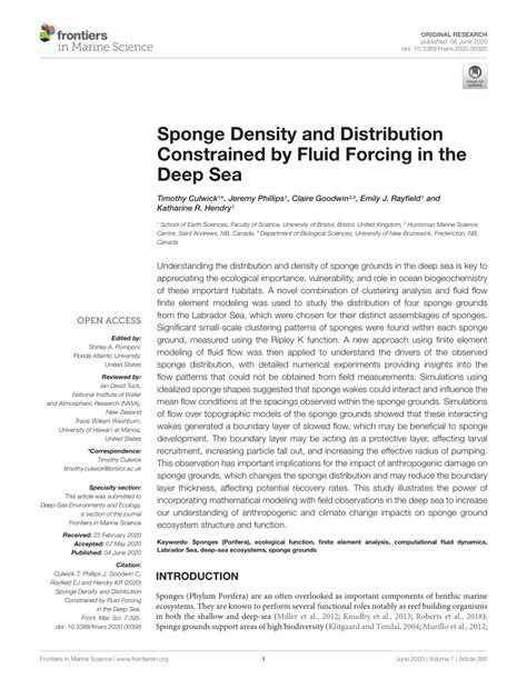 PDF Sponge Density And Distribution Constrained By Fluid Forcing In The Deep Sea