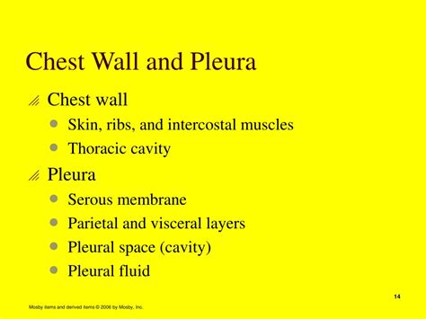 Ppt Pulmonary System Structures Functions And Circulation Powerpoint Presentation Id 9551462