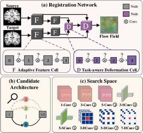figure 1 from automated learning for deformable medical image