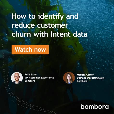 Optimize The Customer Journey Loop To Identify And Reduce Customer