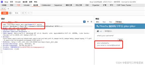 Pikachu 靶场 Sql 注入通关解析pikachusql注入闯关 Csdn博客 Pikachu 靶场 Sql 注入通关解析pikachusql注入闯关 Csdn博客