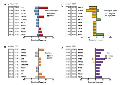 Muscle Invasion Histologic Grade Smoking Status Sex And Frequency