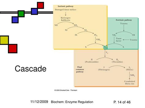 Ppt Enzyme Regulation Powerpoint Presentation Free Download Id3259633