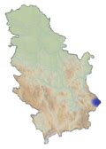 Мозаични скелар — Википедија
