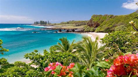 Hd Hawaii Wallpapers Top Free Hd Hawaii Backgrounds Wallpaperaccess