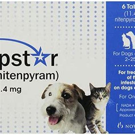 How Do I Get My Cat To Eat A Flea Pill Diy Seattle