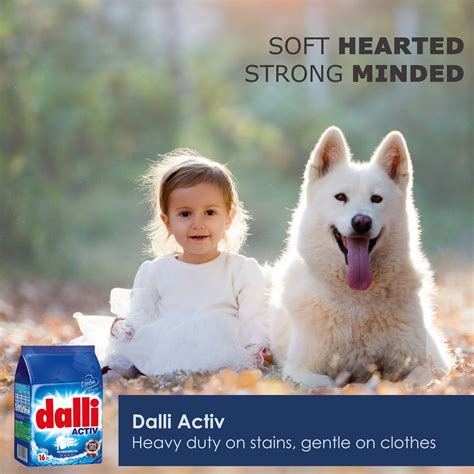 Detergent Powder Stain Remover For Clothes Dalli Germany