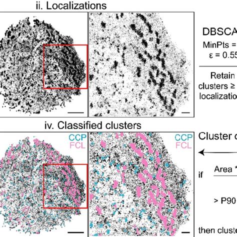 Cluster Identification And Classification Workflow Illustrated In A Download Scientific Diagram