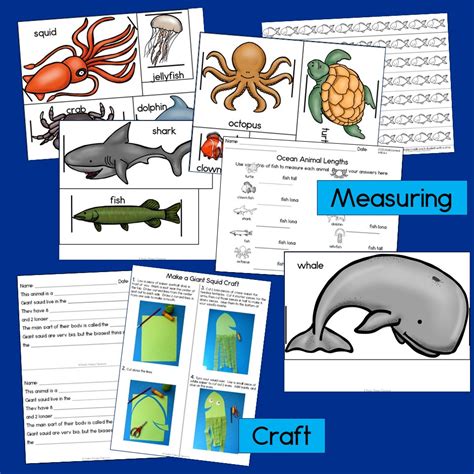 Ocean Math Science Craft Nonstandard Measurement Activities And