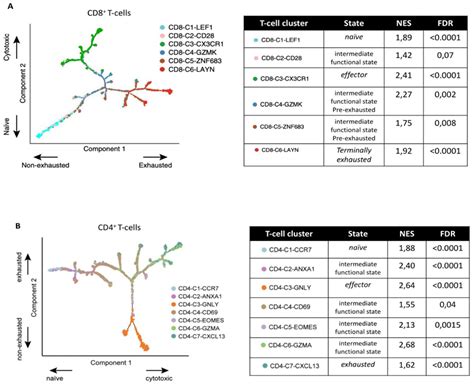 Sex Based Dimorphism Of Anticancer Immune Response And Molecular