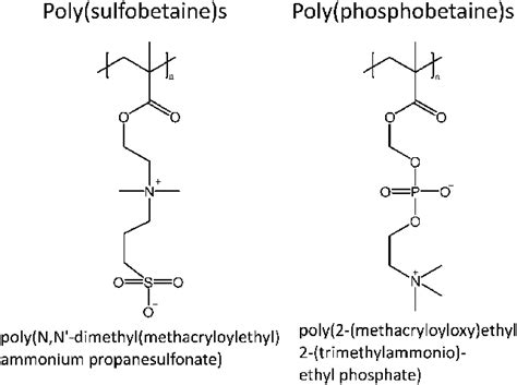 Examples Of Zwitterionic Polymers Showing Ucst Behavior In Aqueous Download Scientific Diagram
