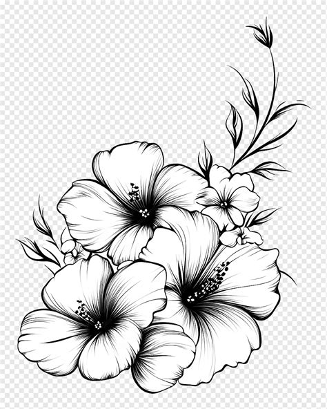 Hibiscus Flower Black And White Drawing