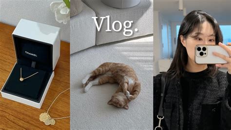 Vlog 노동편재택근무 브이로그• 일본여행 간 동생 샤넬 심부름 시키기코코크러쉬 목걸이• 재택근무 마냥 부럽다고요• 야근수당 버프• 내 소울푸드• 요리 재밌게하기