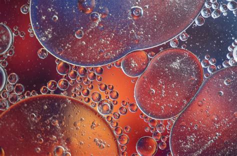 712 Common Ion Effect Sly Academy