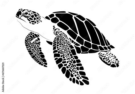 Graphic Sea Turtle Vector Illustration Of Sea Turtle Vector Of Turtle Design On A White