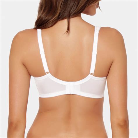 Underwire Bra Page 3 Bras Nz