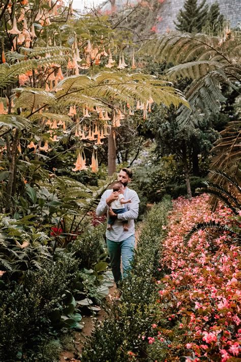 Justin And Hellen Benjamin Begin Photographer Madeira Island