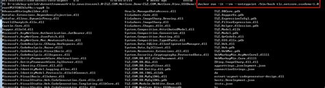 Docker部署启动错误需要手动进入Docker的容器里启动程序排查错误 八戒 博客园