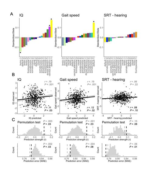 Network Surface Area Analyses A Results From Univariate Correlations