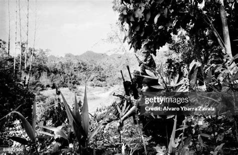 Moei Photos And Premium High Res Pictures Getty Images