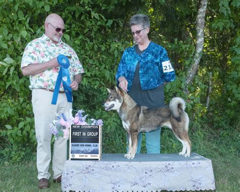 Ch Nihon‘s Legend Bara Sayuri Of Akashima Akashima Shikoku Kennels