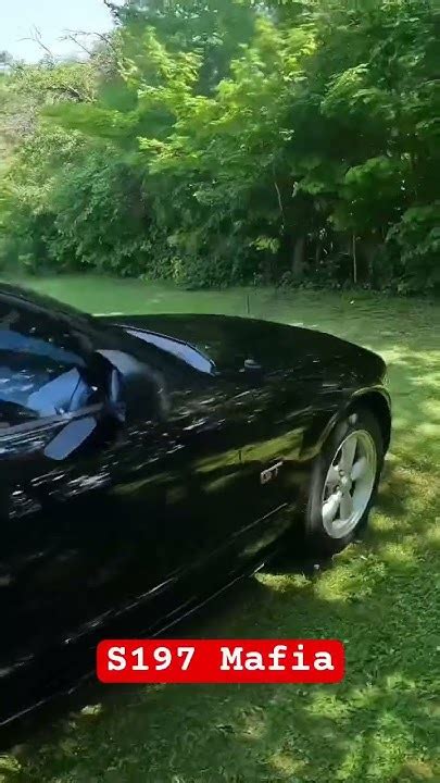 Clean S197 Mustang Mustangs Fordmustang Ford S197 Youtube