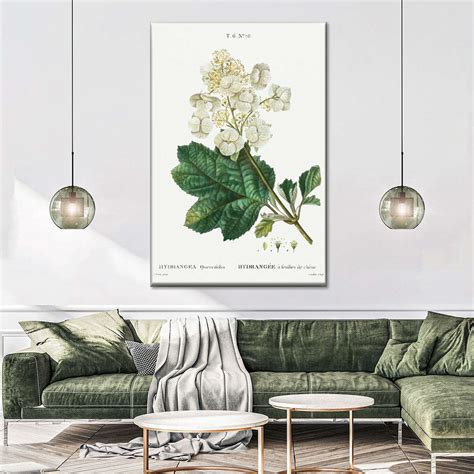 Oakleaf Hydrangea Wall Art By Pierre Joseph Redoute Elephant Stock