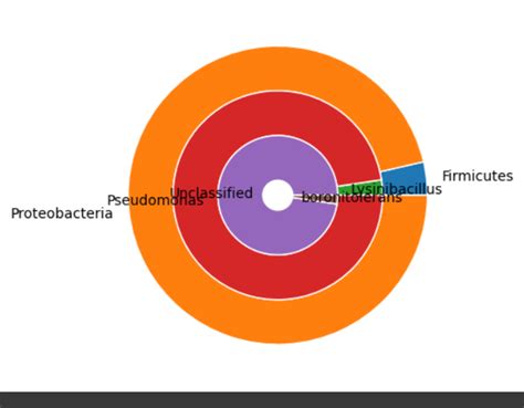 Pandas Title How To Visualize Hierarchical Data With Nested Pie Charts In Python Stack