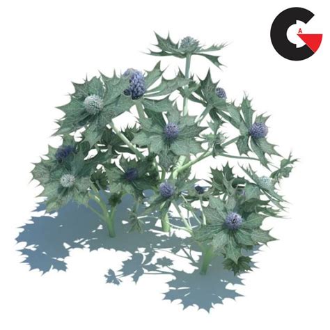 Evermotion Archmodels Vol124 Cgarchives