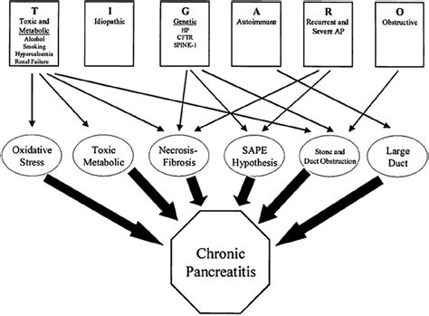 Tigar O Risk Factor Classification System Reproduced From Stevens T Download Scientific