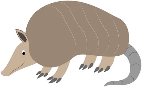 Free Clip Art Armadillo Download Free Clip Art Armadillo Png Images