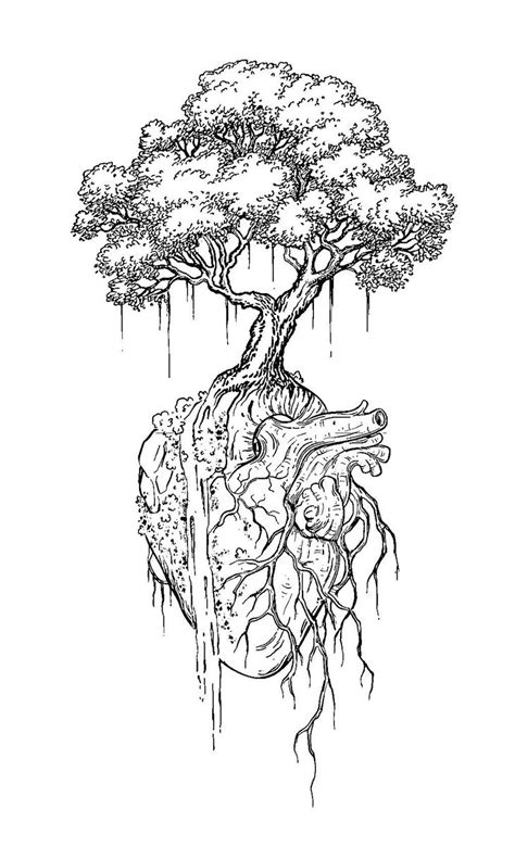 Tatuaje De árbol Con Raíces De Agua Tree Drawing Psychology Path Of