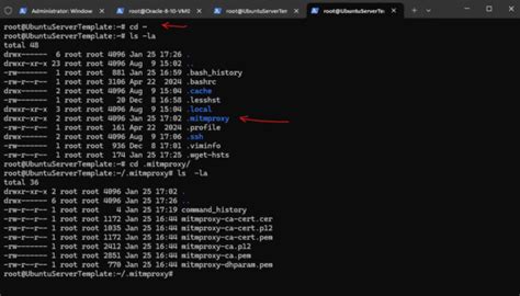 Mastering The Mitmproxy Mitm Interactive Proxy On Linux