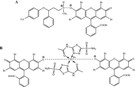 Eosin Y An Overview Sciencedirect Topics 41 Off