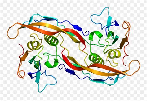 Bmpr1a Illustration Clipart 3319174 Pinclipart