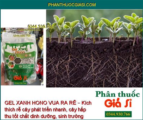 Gel Xanh Hono Vua Ra RỄ Kích Thích Ra Rễ Cải Tạo Đất Phân Thuốc Giá Sỉ