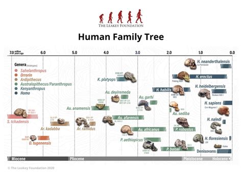 Humans And Plants Go Way Back The Leakey Foundation