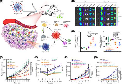 Lipid Based Nanoparticles For Cancer Immunotherapy