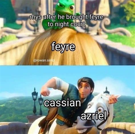 Pin By Someone On Acotar Book Jokes Acotar Funny Book Memes