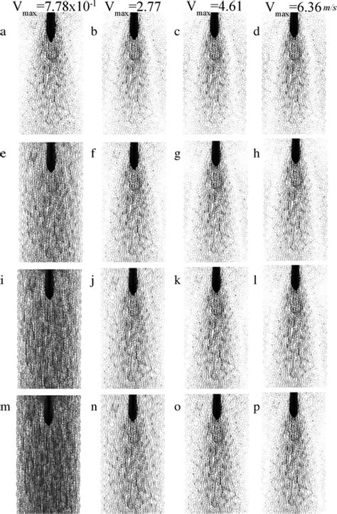 Model Prediction Of The Fluid Velocity Vector At Different Flow Rates