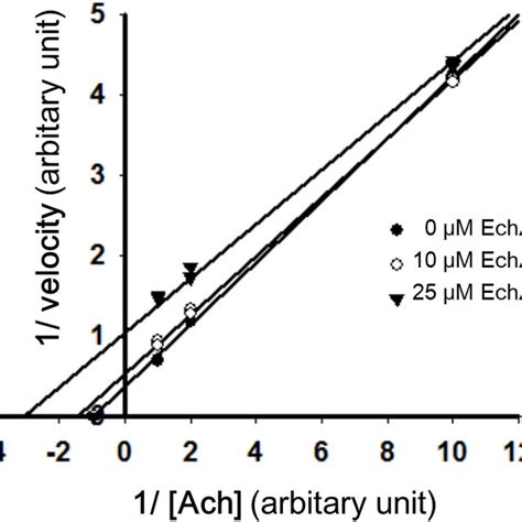 Lineweaver Burk Plot Of 1v Vs 1 Ach In The Presence Or Absence Of