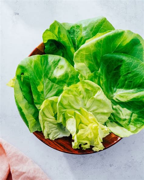 Butter Leaf Lettuce Butter Lettuce Farm Link Hawaiʻi